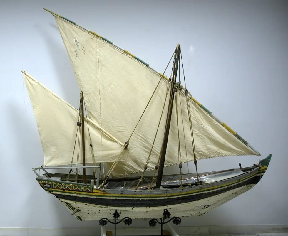 Il sambuco - MUCIV-Museo delle Civiltà